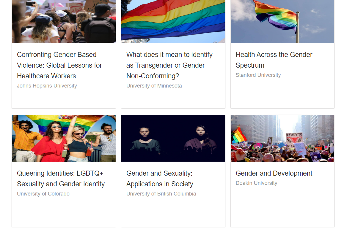 Diversity and Inclusion Courses, choose what you like ! – TWOST